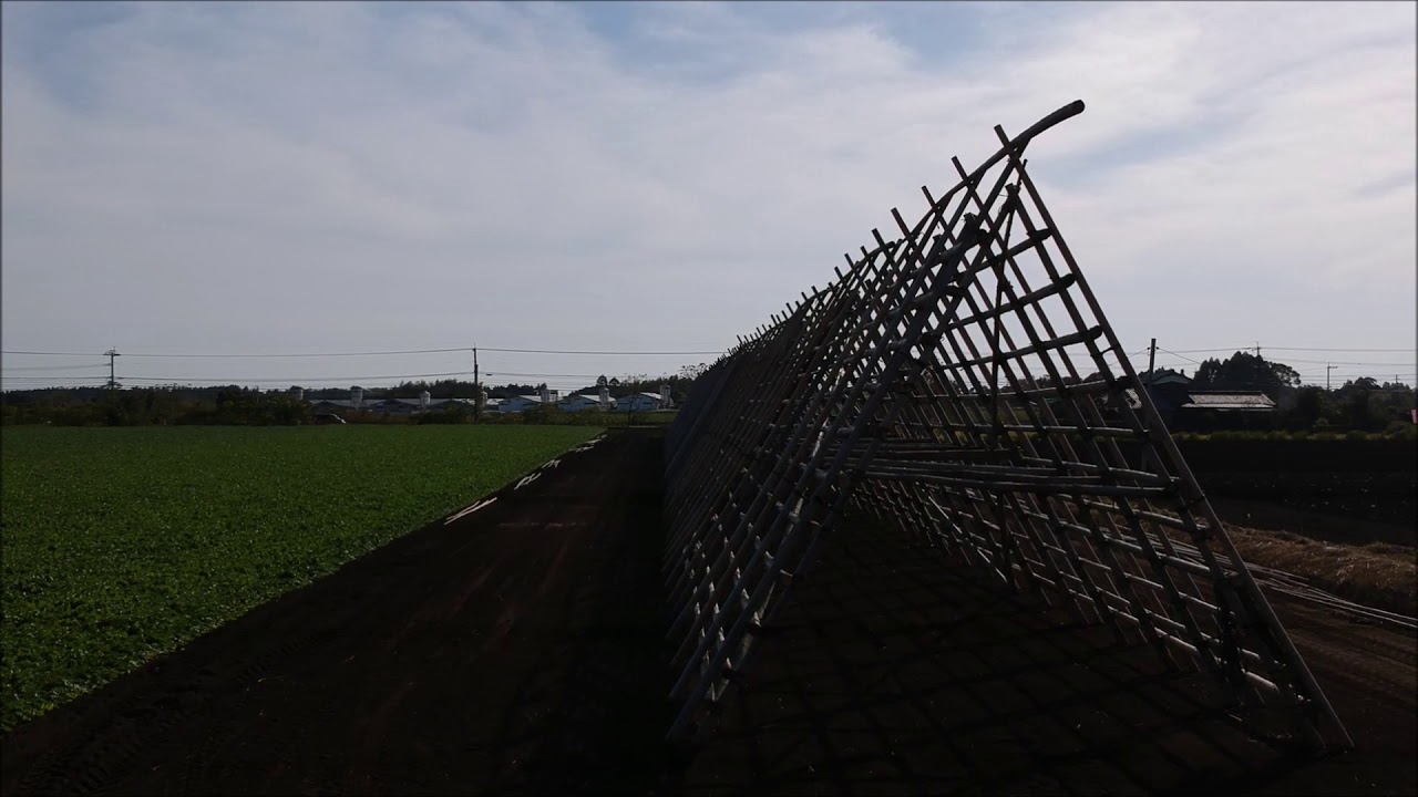 'Massive' Radish Tower / Daikon Yagura / 大根やぐら -- Takanabe, Miyazaki ...