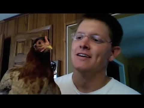 HOW OIS STABILIZATION IN A CAMERA WORKS - YouTube