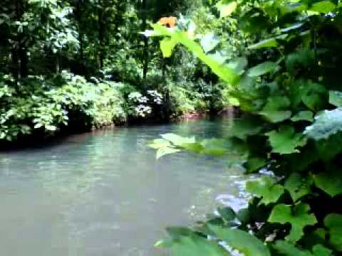 PG- swimming in Vahal, Naringre - YouTube