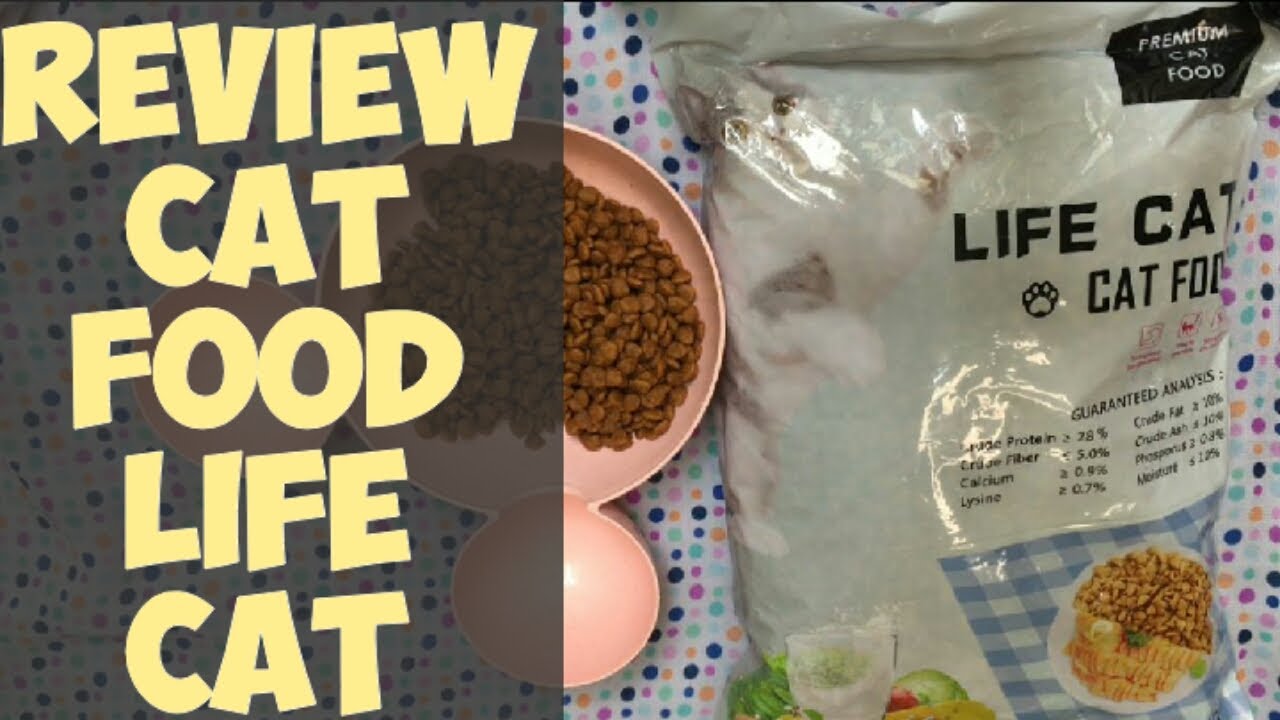 Review Life Cat Cat Food (Makanan Kucing All Life Stages) - #11 - YouTube