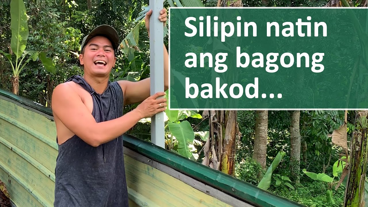bakod - YouTube