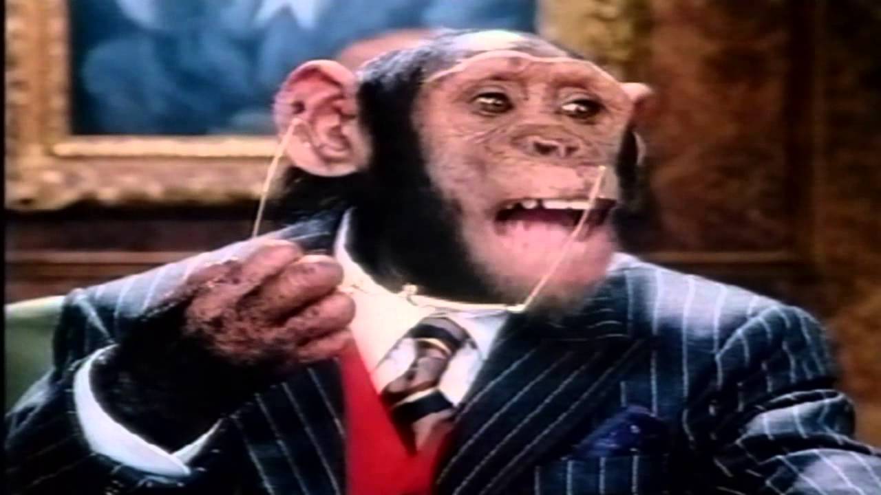 PG Tips - Board Room - Chimps discuss big bags - YouTube