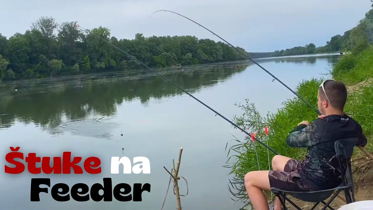 Lud Savski Feeder Ribolov. Čudno a ujedno sjajno pecanje ! - YouTube