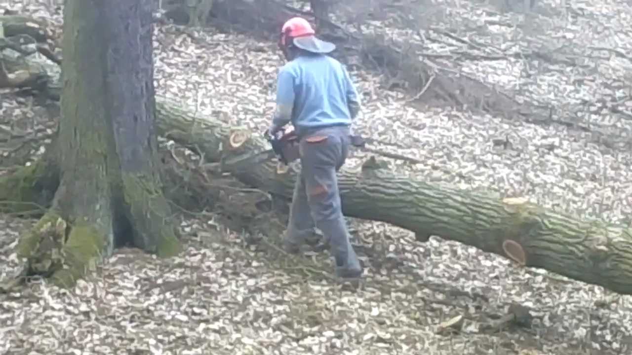 STIHL MS 440 W In Action - YouTube