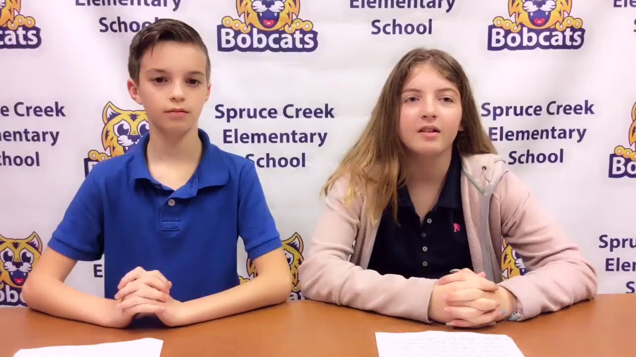 Spruce Creek Elementary Live Stream - YouTube