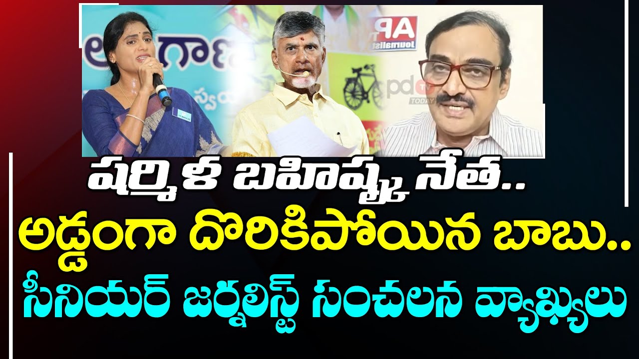 Sr Journalist Krishnam Raju About Ys Sharmila Politics : PDTV News ...