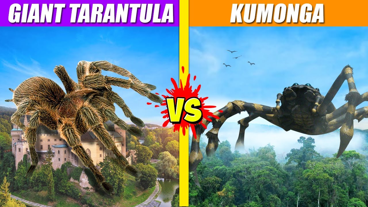 Giant Tarantula vs Kumonga | SPORE - YouTube