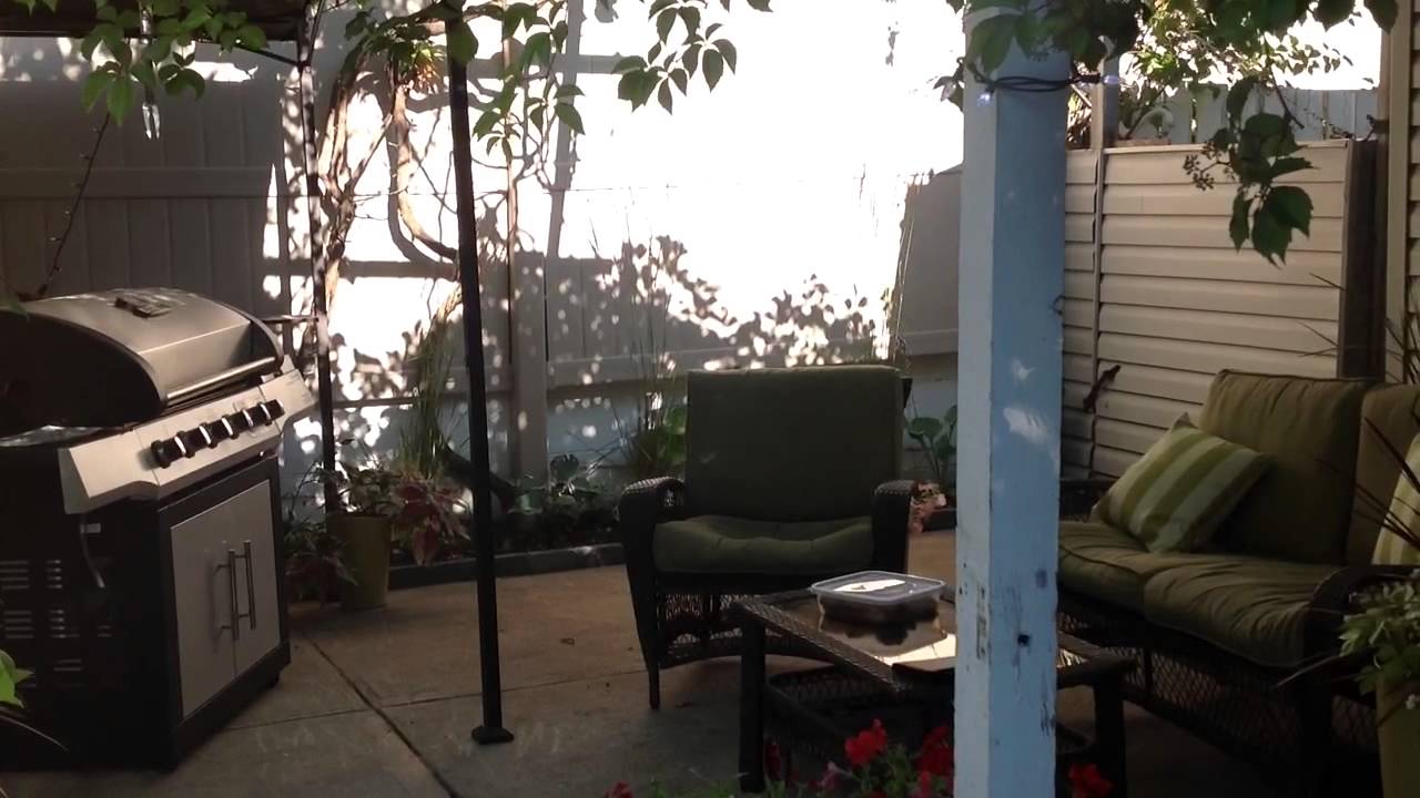 Kevin's Backyard - YouTube