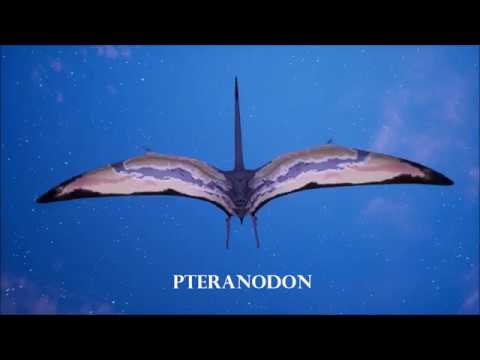 Sea Monsters - Pteranodon: A Beasts Documentary - YouTube