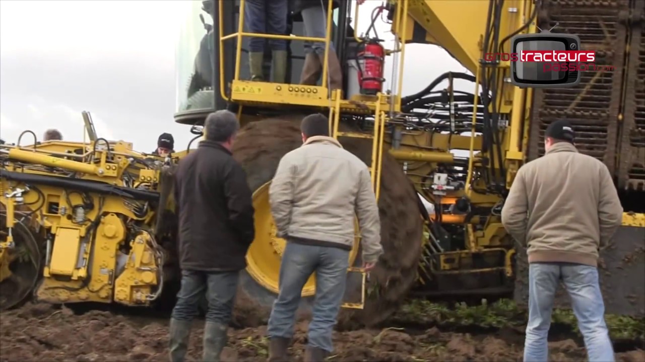 ROPA Euro Panther Beet Harvester - YouTube