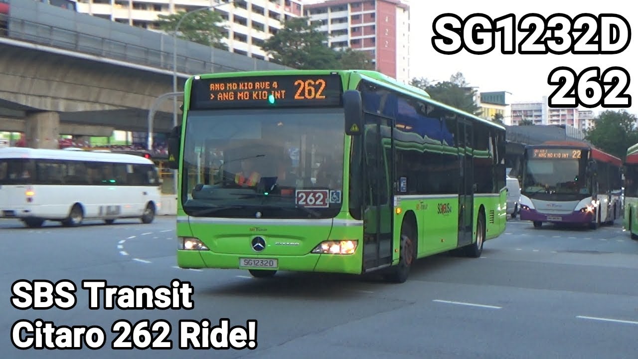 [SG1232D | Citaro O530] SBS Transit Trunk 262 Ride - YouTube