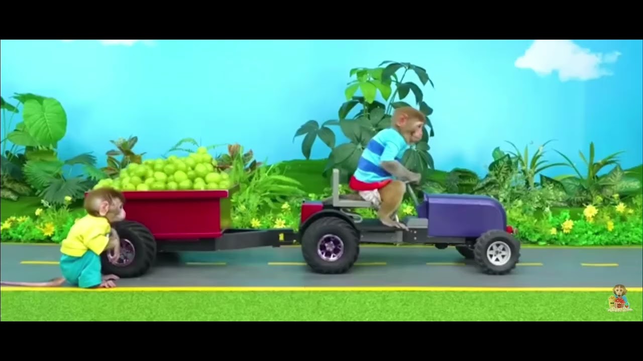 Cartoon monkey video - YouTube