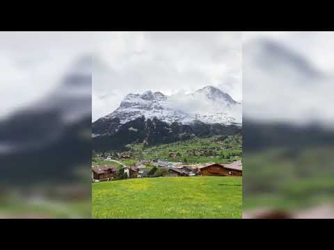 Switzerland 😍❤️| WhatsApp Status Video| New Video | Nature Video | Muhad Millath |📽️