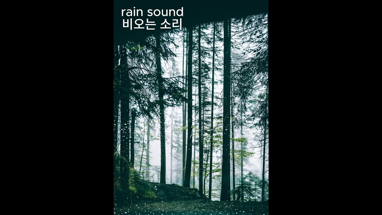 the sound of a sleepy rain(clap of thunder,4 hours), Sleep in 5 minutes ...