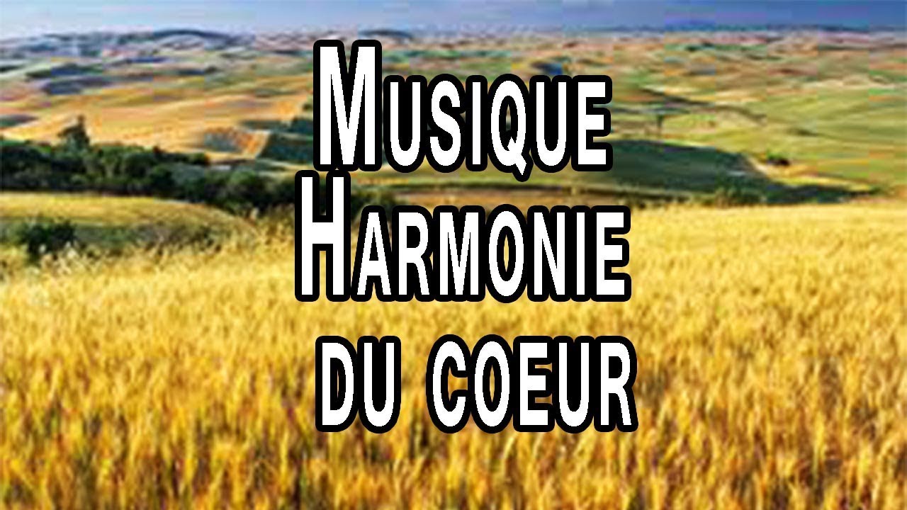 + 2 heures - Musique pour harmoniser vos sentiments, émotions ...