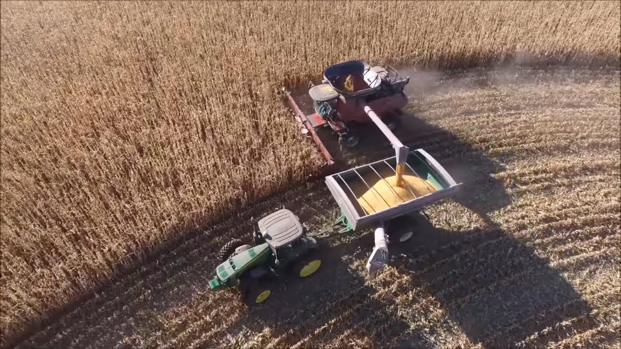 Harvest 2018 - Wilken Farms - YouTube