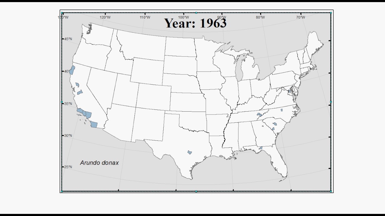 Historical Distribution of Invasive Arundo donax (giant cane) - YouTube