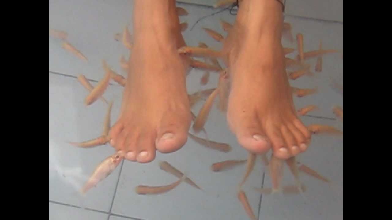 Tickled by Fish - YouTube