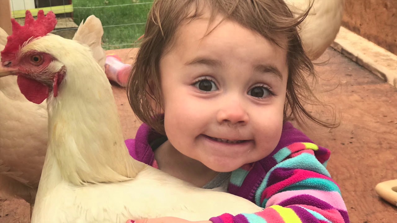 Developmentally Appropriate Practices Infants And Toddlers YouTube developmentally-appropriate-practices-infants-and-toddlers-youtube