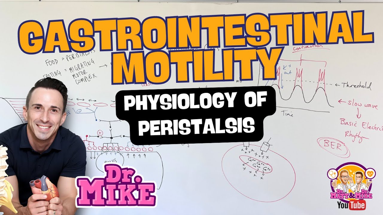 Motility of the Gastrointestinal Tract | Peristalsis Physiology - YouTube