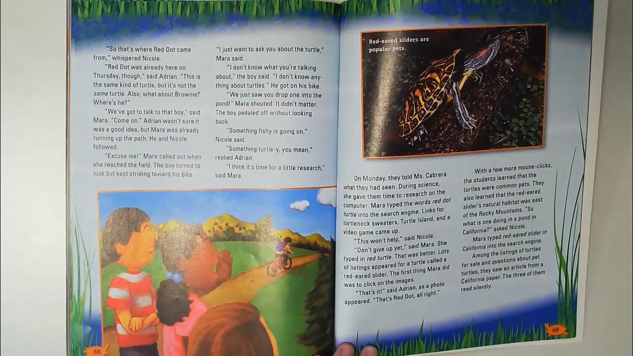 Mystery at Reeds Pond - Read Aloud - YouTube