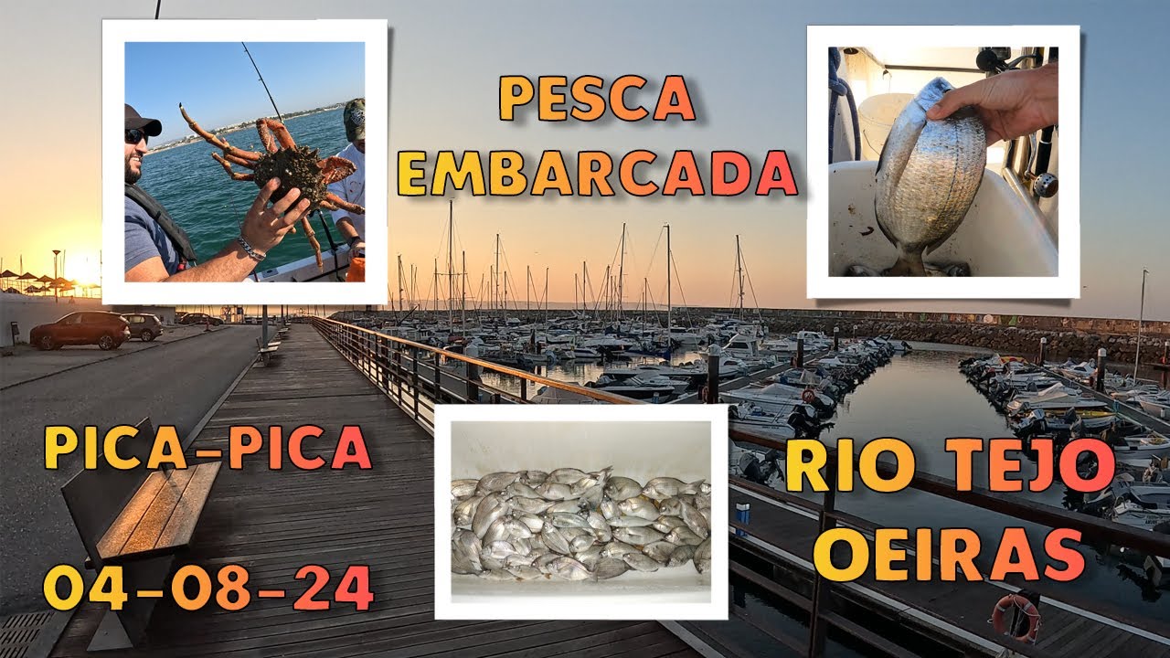 Pesca Embarcada na Foz do Rio Tejo - Pica Pica em Oeiras aos Diversos ...