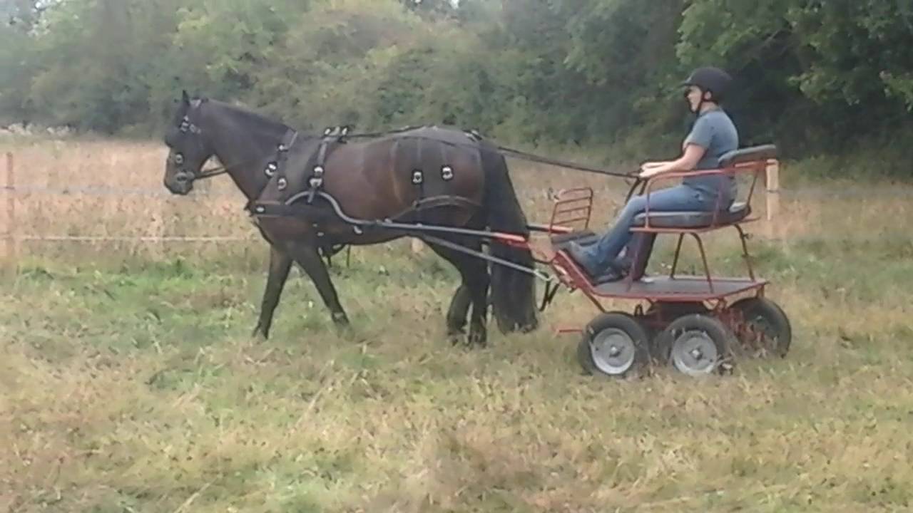 Merlin in his new Bennington Fun Bug - YouTube