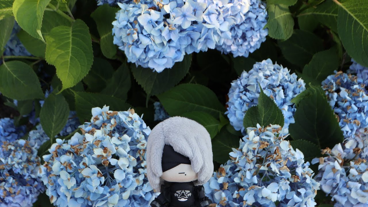Mini Plush 2B Takes A Trip To Cape Cod - YouTube