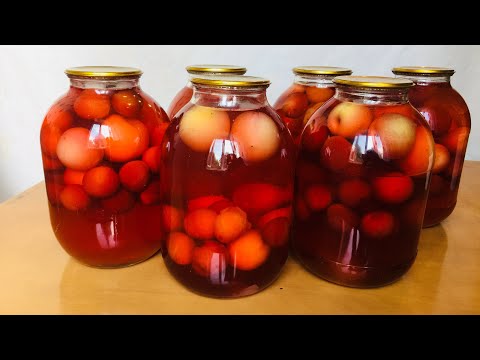 Qıslıq qaynatmadan 5 dəqiqədə hazırlanan asan kampot