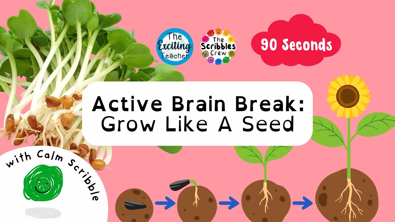 Grow Like A Seed | Scribbles Crew Kids Brain Break | Immersive ...