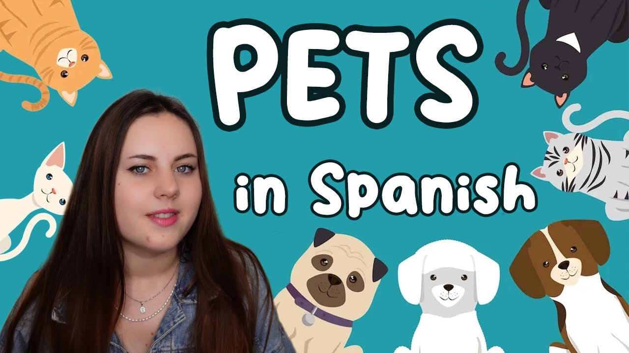 Basic Spanish Vocabulary: Pets / Animals At Home + Exercises - YouTube