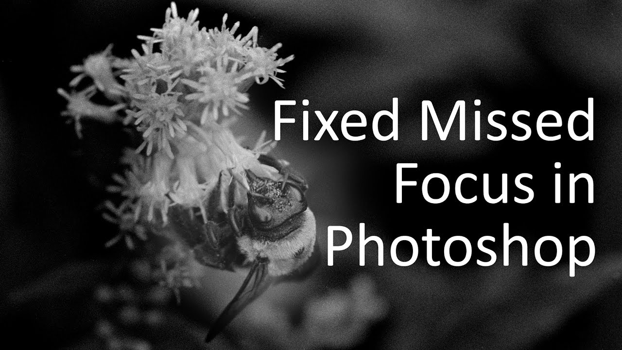 Fix Slight Missed Focus With Photoshop High Pass Filter YouTube fix-slight-missed-focus-with-photoshop-high-pass-filter-youtube