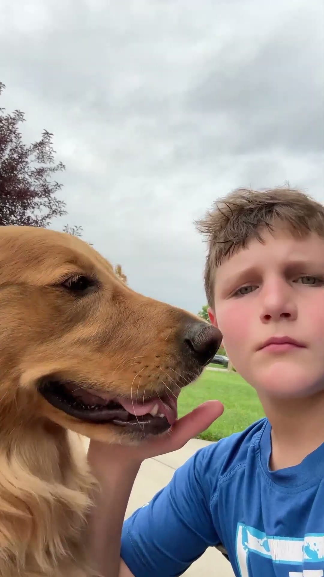 My dog - YouTube