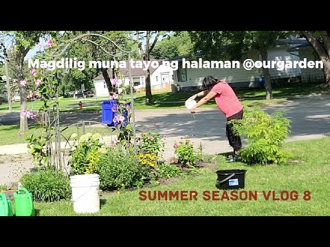 Magdilig muna tayo ng halaman @ourgarden #newhouse #garden #yt #youtube ...