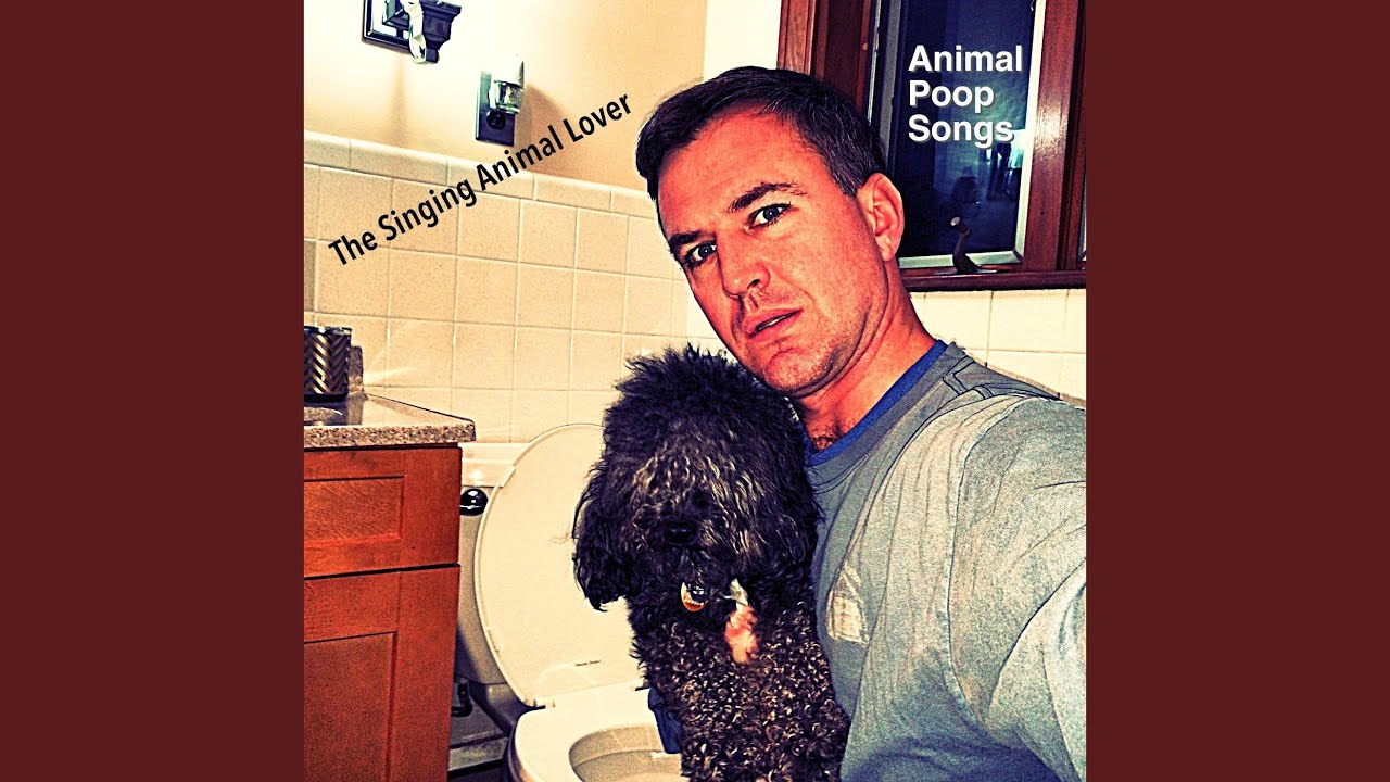 Kitty Poop (Meow Meow Poop Poop Poop) - YouTube