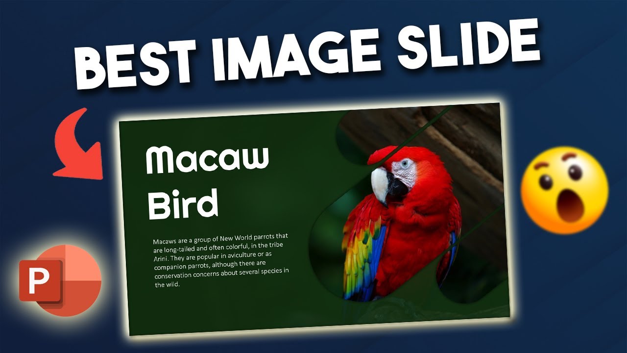 Discover the POWER of Easy PowerPoint Tricks - YouTube