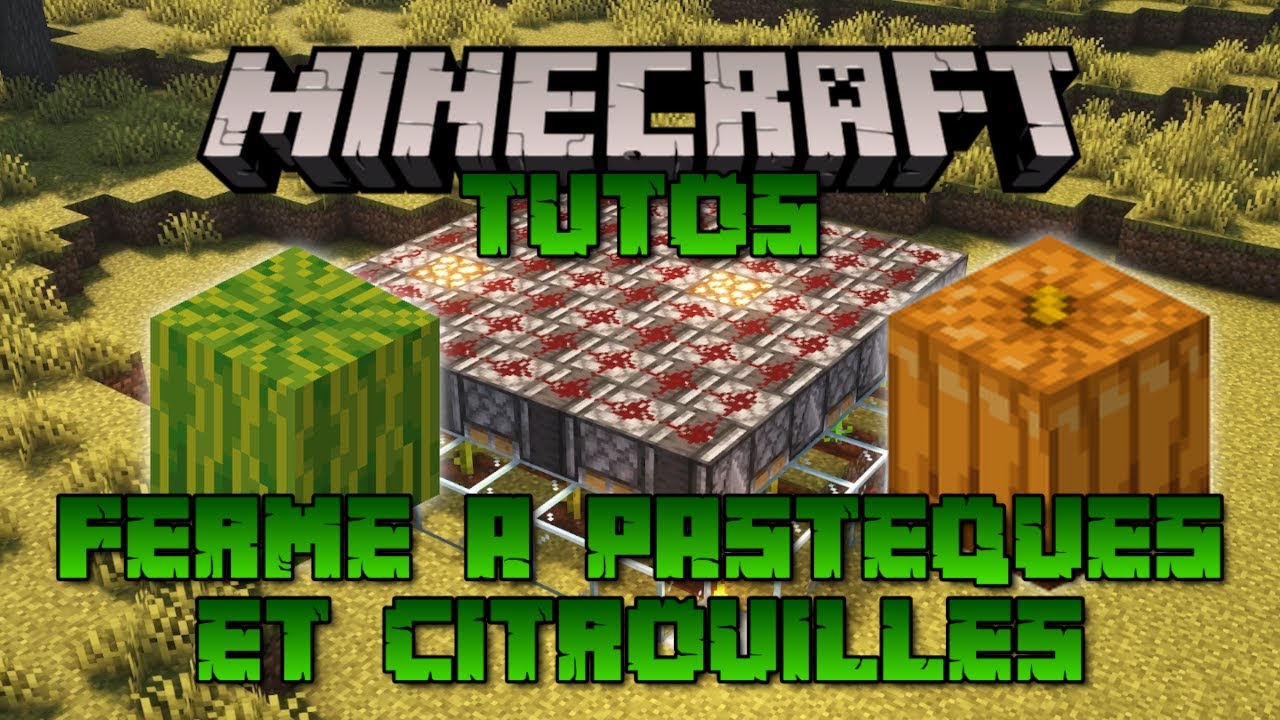 [MINECRAFT - TUTO 1.19] Ferme à pastèques et à citrouilles - YouTube