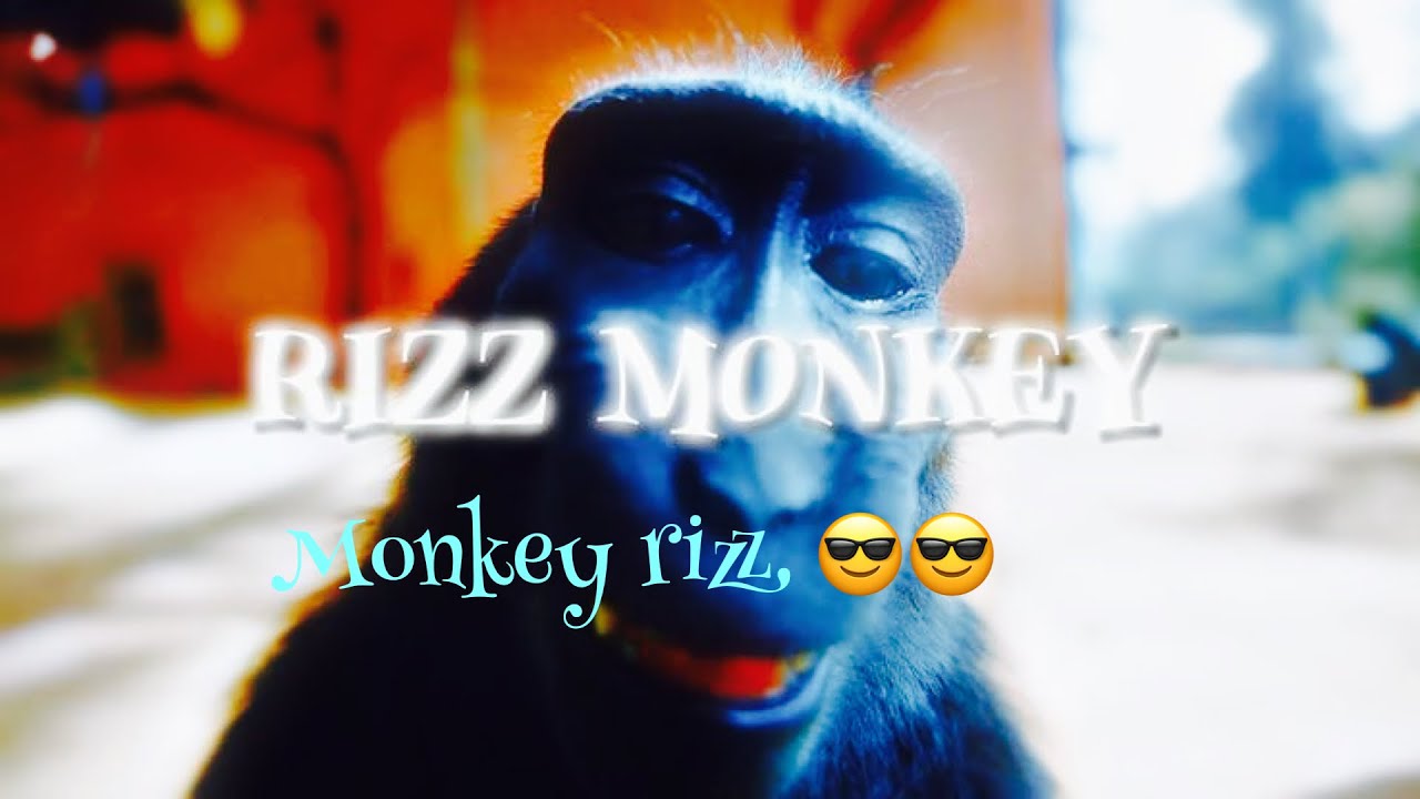 Best monkey rizz to make your crush fall in love - YouTube