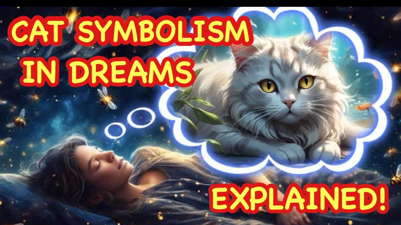 CAT SYMBOLISM in Dreams Explained!|Dream of cat symbolism|Dreams of cat symbolism|Dreaming of ...