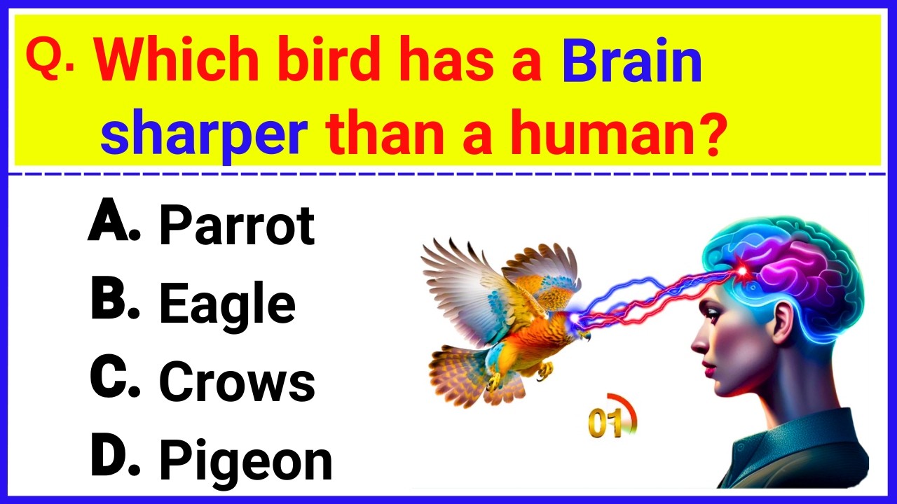 Top 30 Gk Question and Answer | Best Gk Questions and Answers | Gk Quiz ...