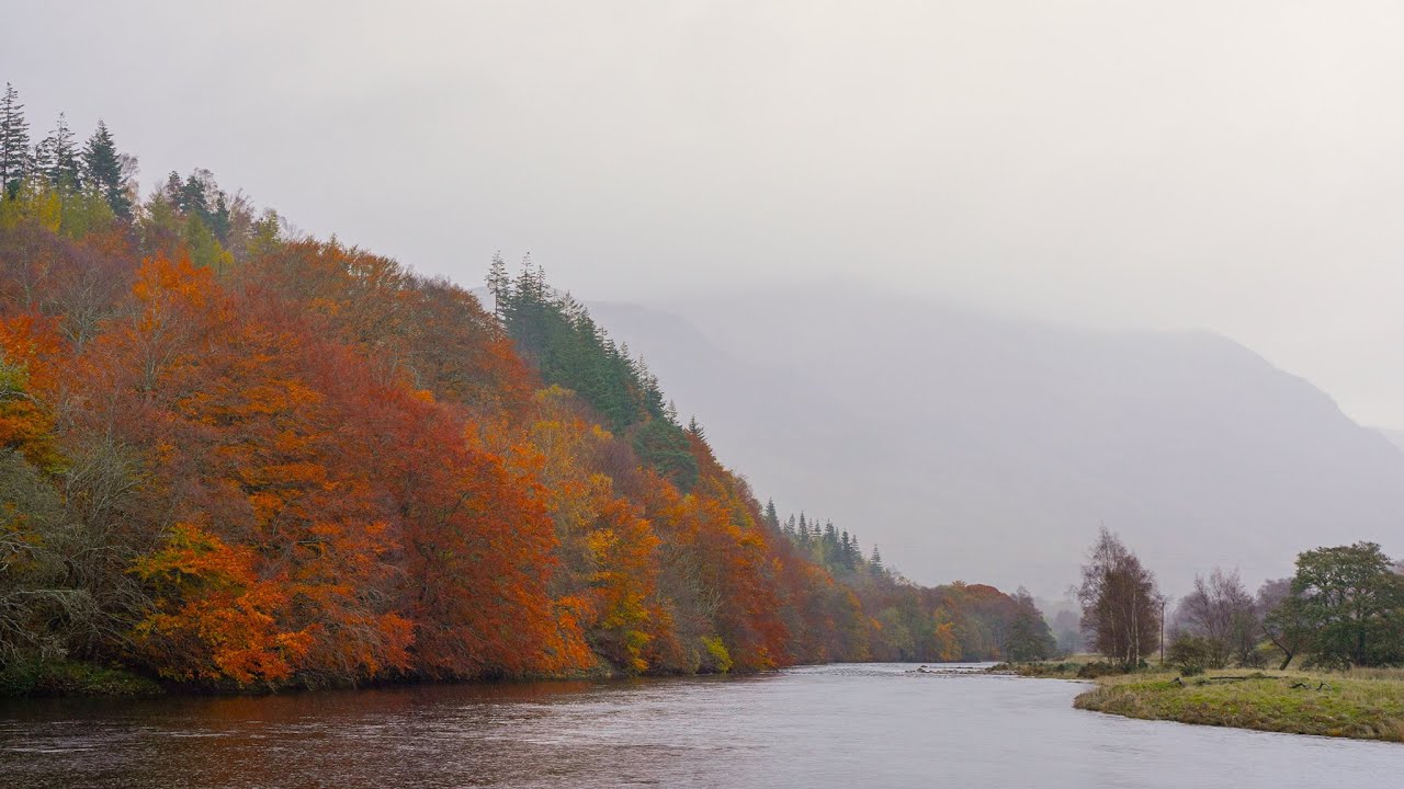 AUTUMN IN SCOTLAND | visiting the oldest tree in the UK, climbing a ...