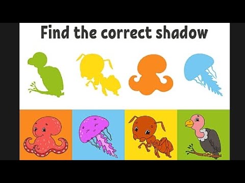 Kids Best Learning video Sorting and Matching Activities | Junior King ...