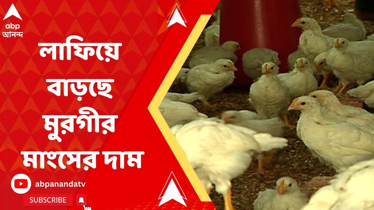 Chicken Price chicken-price