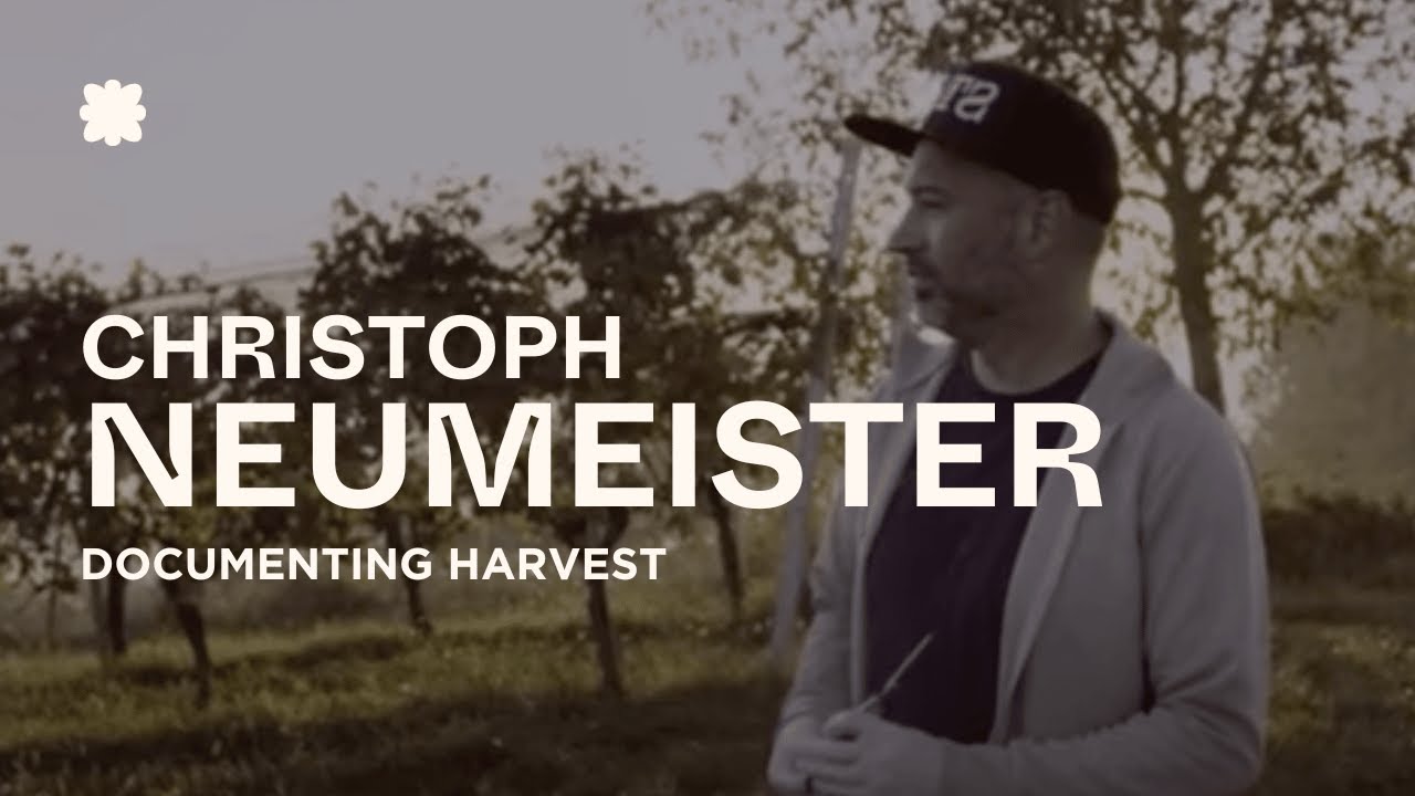 Harvest at Christoph Neumeister | Styria 🇦🇹 - YouTube
