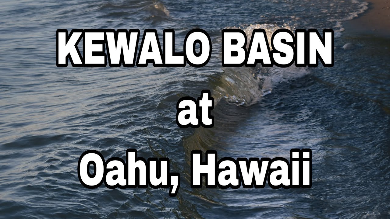 Kewalo Basin at South Oahu, Hawaii 🌺 - YouTube
