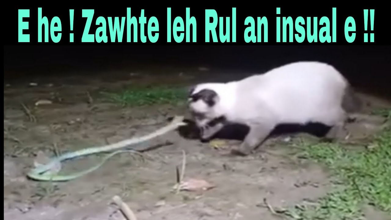 E he ! Zawhte leh Rul an insual e !!! Thin a phu zawk zawk mai ...