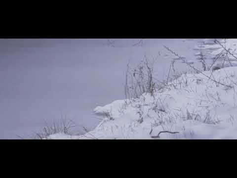 Kızın sevgilisi var diyorlar ..