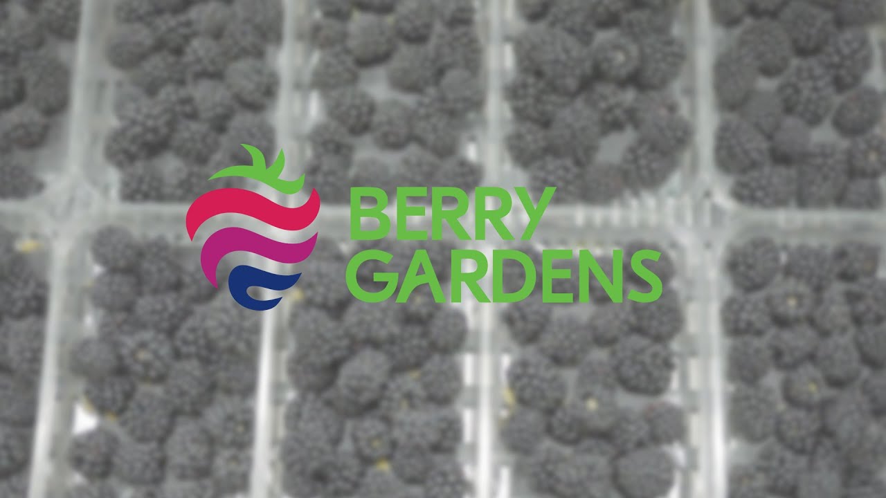 Berry Gardens - State-of-The-Art Fruit Processing & Packaging Facility ...