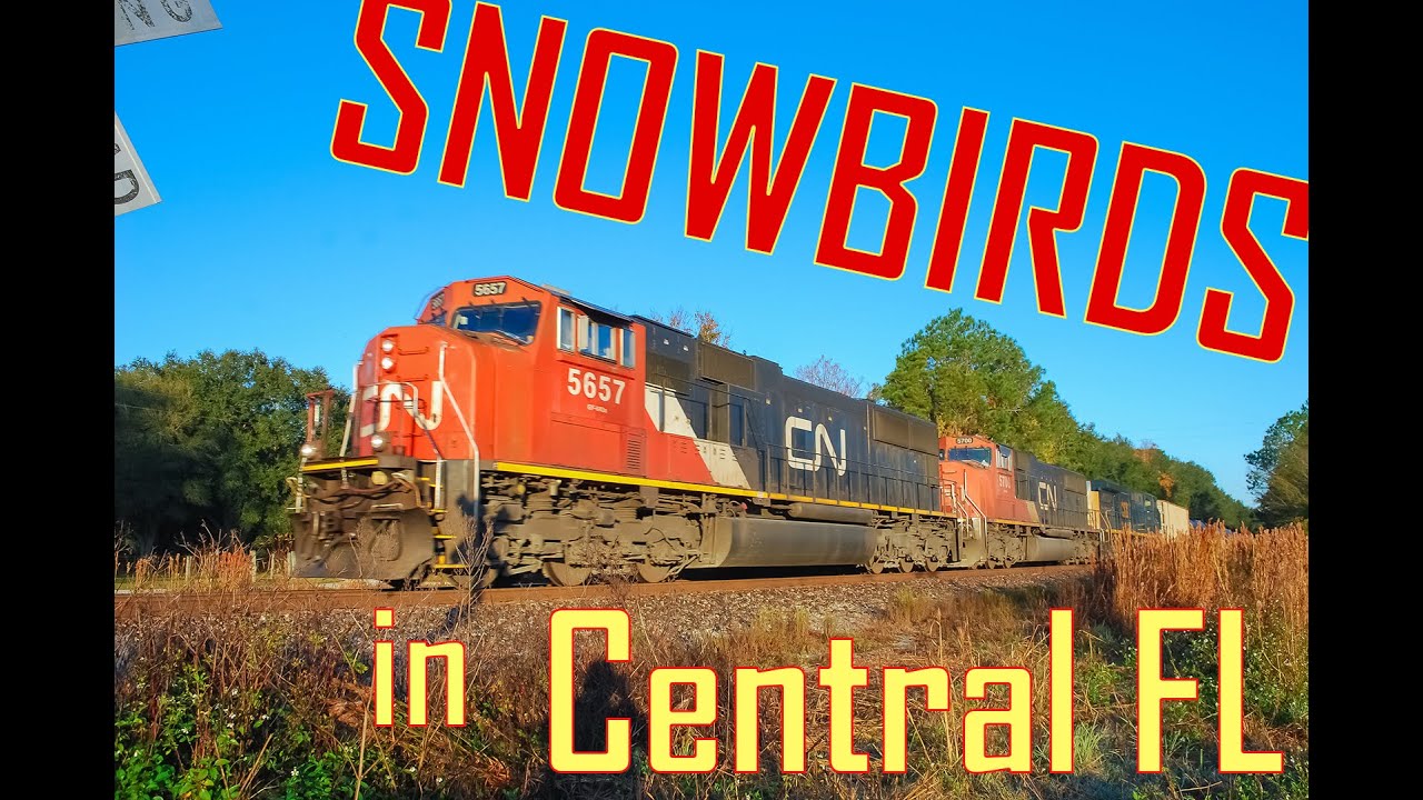 Chasing Two Canadian National EMD SD75i Locomotives Down the Florida ...