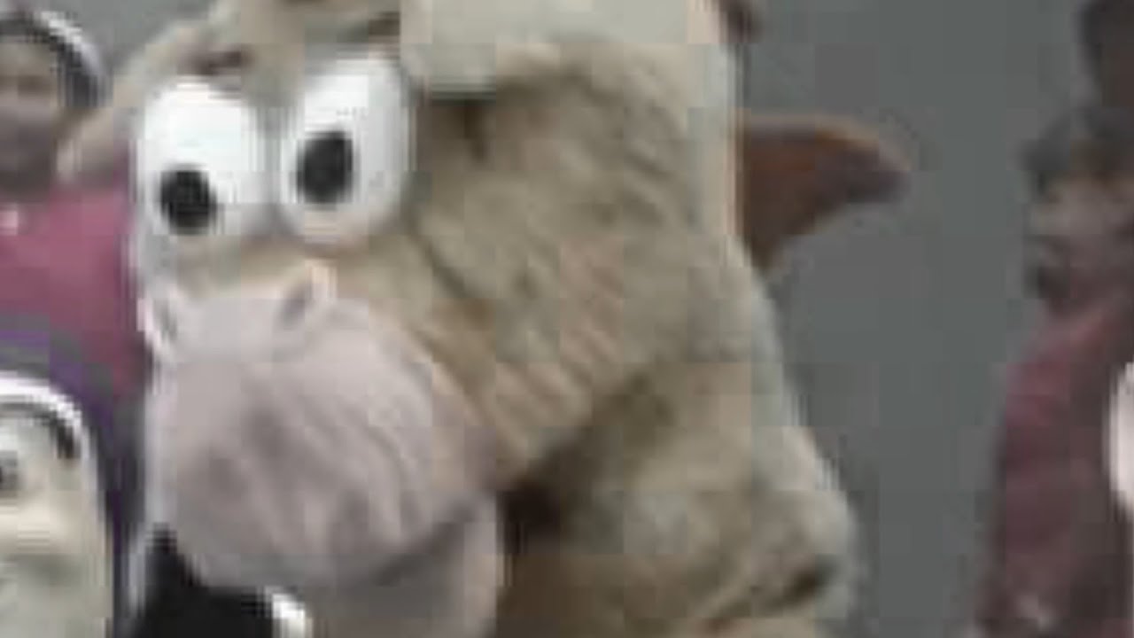 BOTARGAS, IMÁGENES Y CHISTES #1 - YouTube